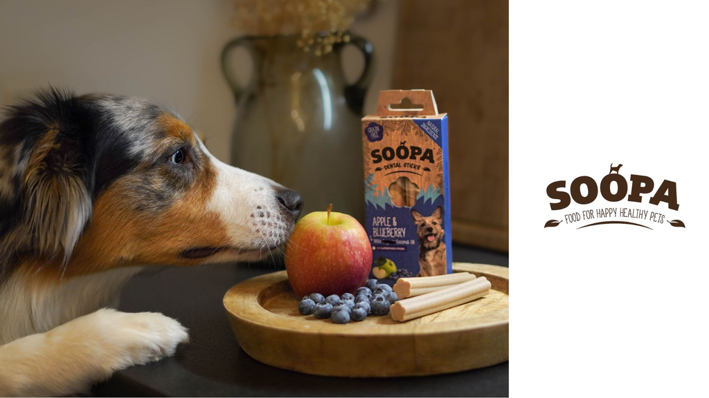 Soopa vegane Kauartikel Hund - vegane Hundeleckerli Fairtails